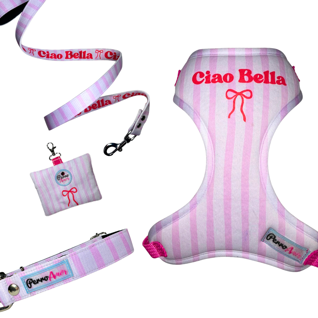 Kit Todo Mío " Ciao Bella " – Perro Amor